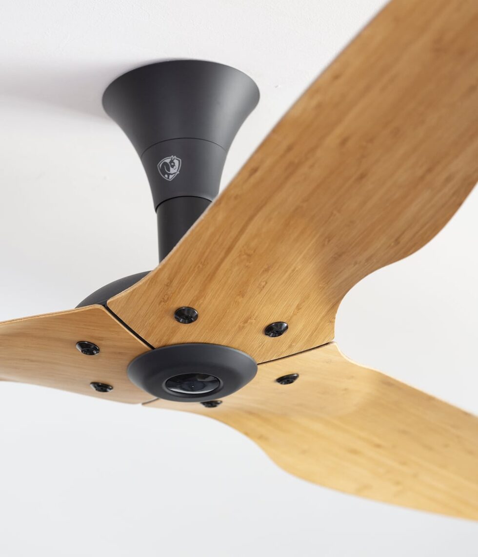 Haiku | Luxury Modern Ceiling Fans | Big Ass Fans® - Singapore